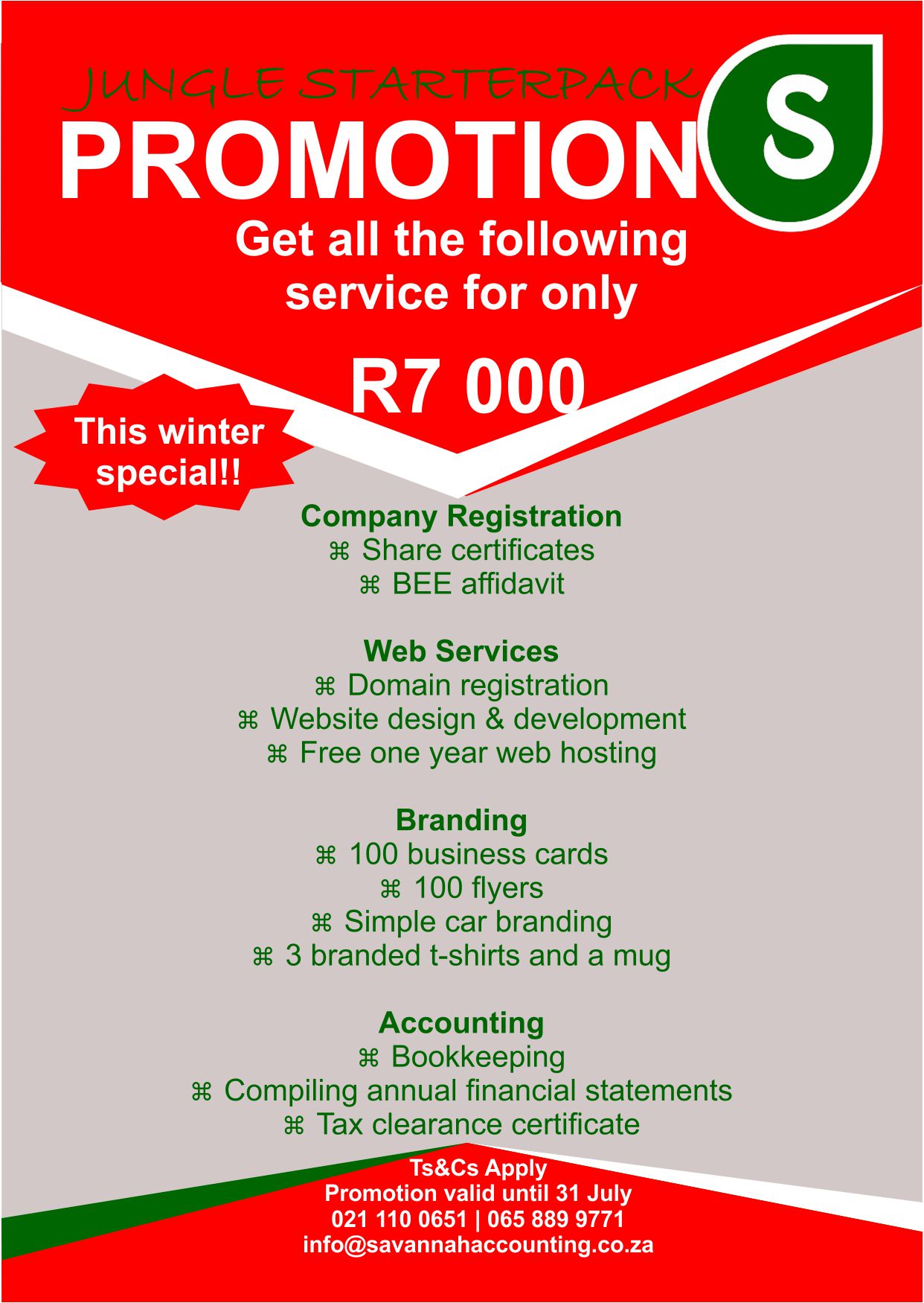 Savannah Promotional Flyer - Savannah Accounting